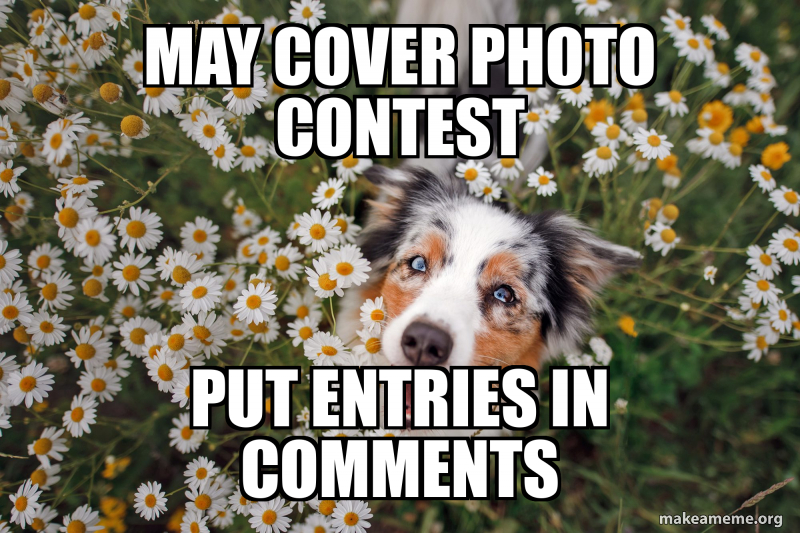 May cover photo contest Put entries in comments Meme Generator