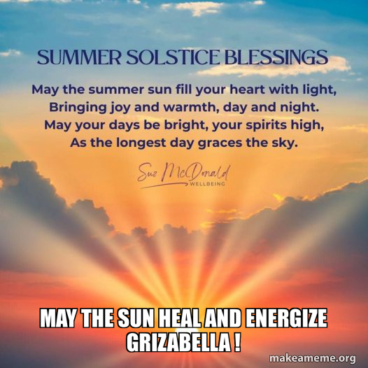 May the Sun heal and Energize Grizabella ! Meme Generator