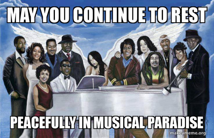may you continue to rest peacefully in musical paradise Meme Generator