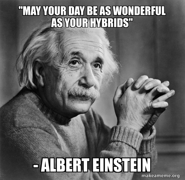 "May your day be as wonderful as your hybrids" - Albert Einstein ...