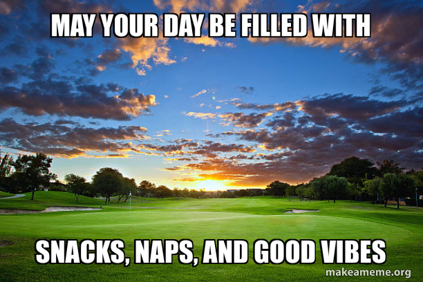 May your day be filled with snacks, naps, and good vibes Meme Generator