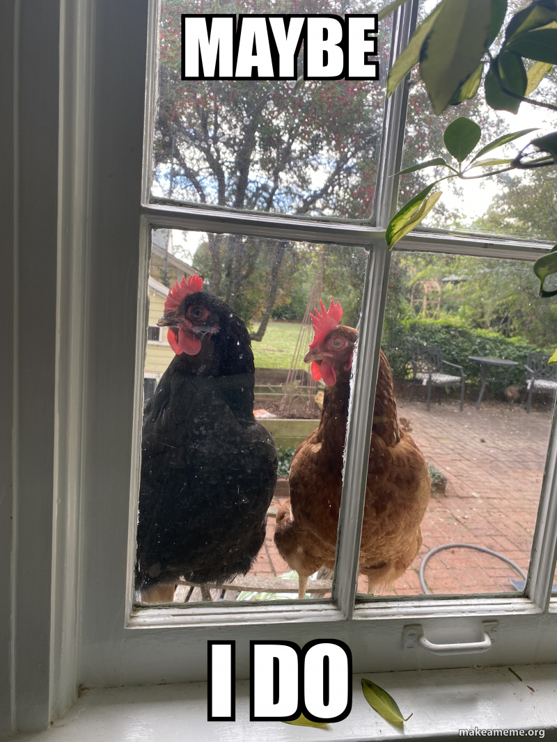 Maybe I do Meme Generator