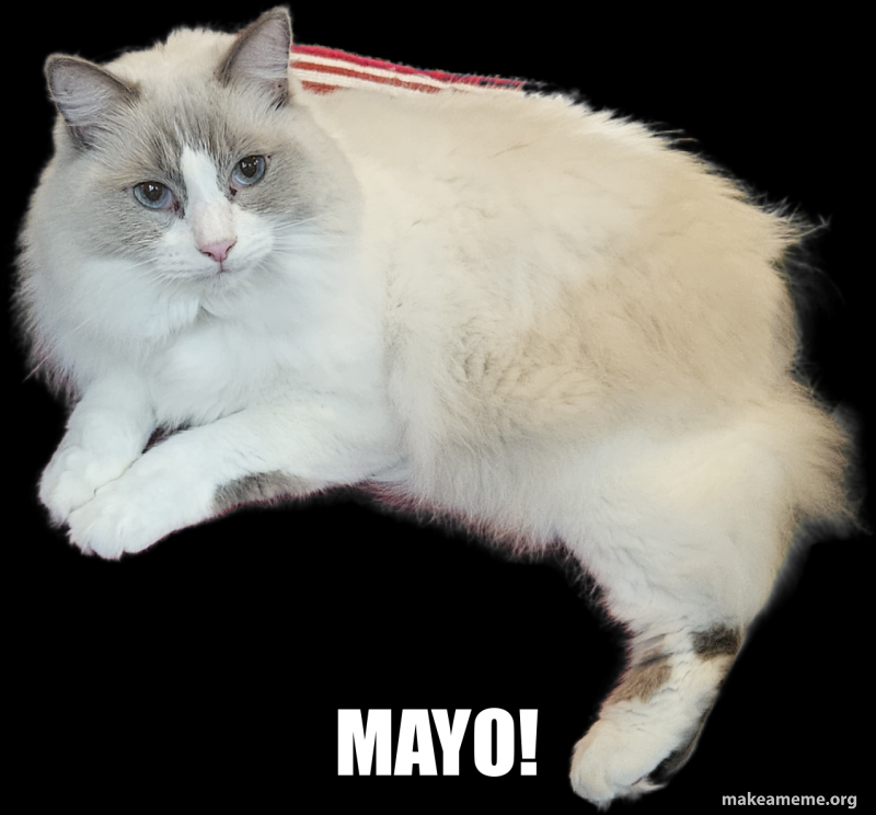 Mayo! Meme Generator