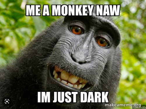 Me a monkey naw im just dark Meme Generator