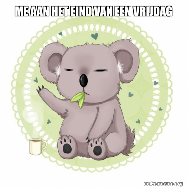 me aan het eind van een vrijdag - Aussie Koala doing the night shift ...