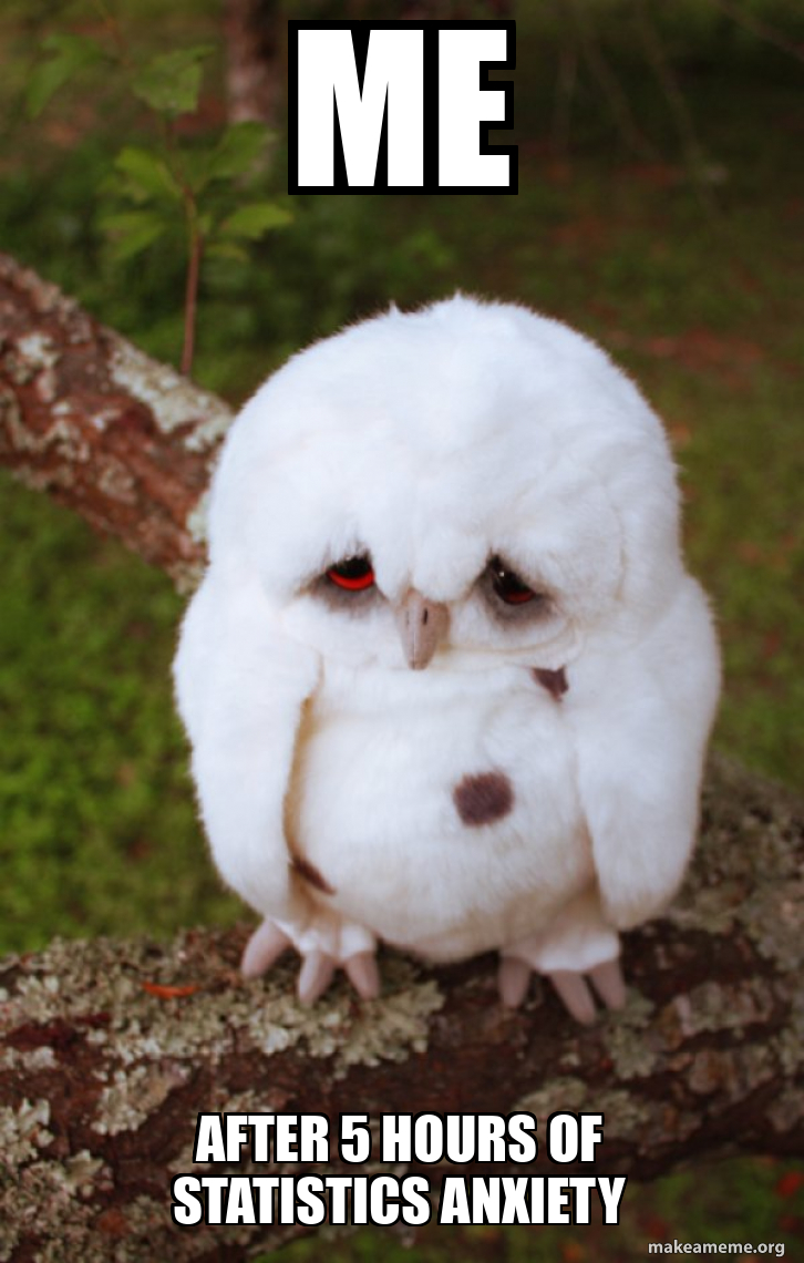 Me After 5 hours of Statistics Anxiety - Sad Owl Meme Generator