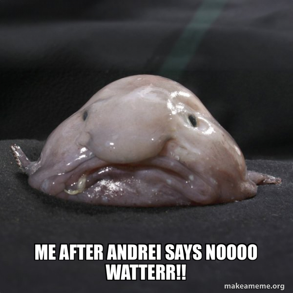 ME AFTER ANDREI SAYS NOOOO WATTERR!! - Blobfish Meme Generator