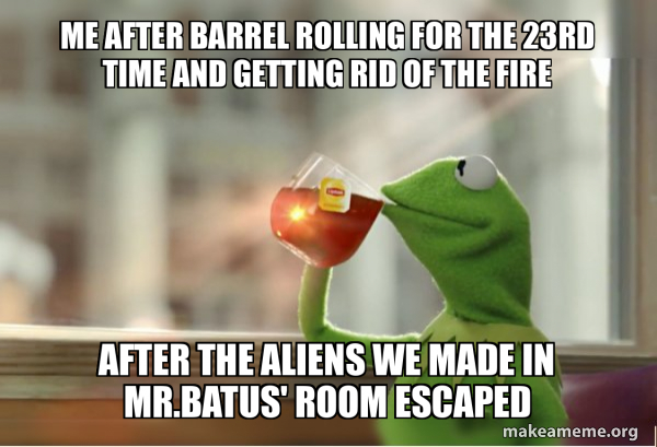 Me after barrel rolling for the 23rd time and getting rid of the fire ...