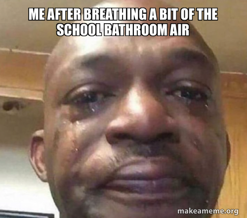 Me after breathing a bit of the school bathroom air Meme Generator