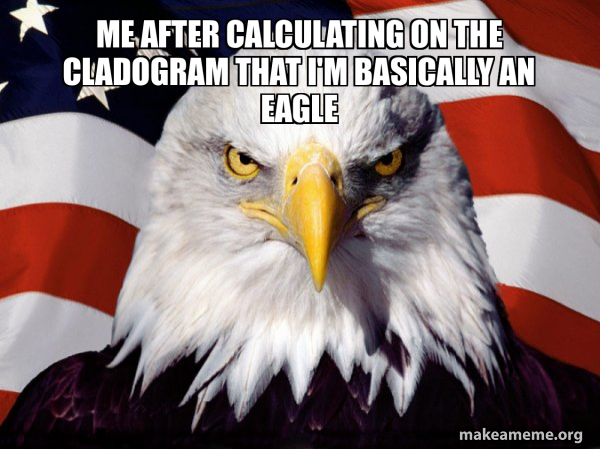 Me after calculating on the cladogram that I'm basically an eagle ...