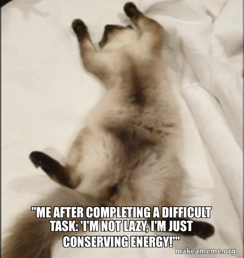 "Me after completing a difficult task: 'I'm not lazy, I'm just ...