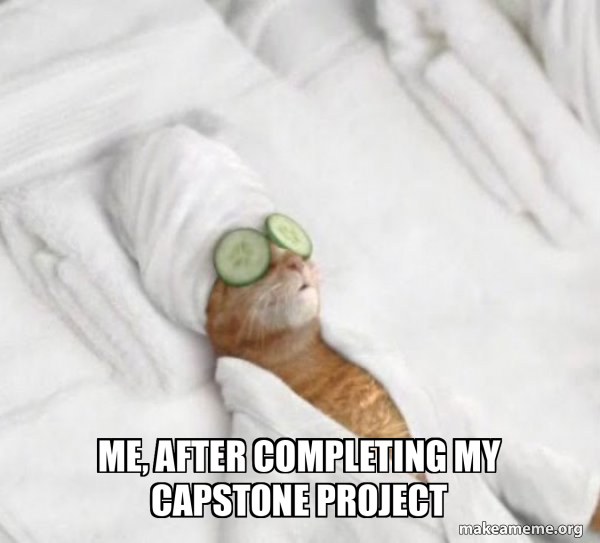 Me, After completing my capstone project - Pampered Cat Meme Meme Generator