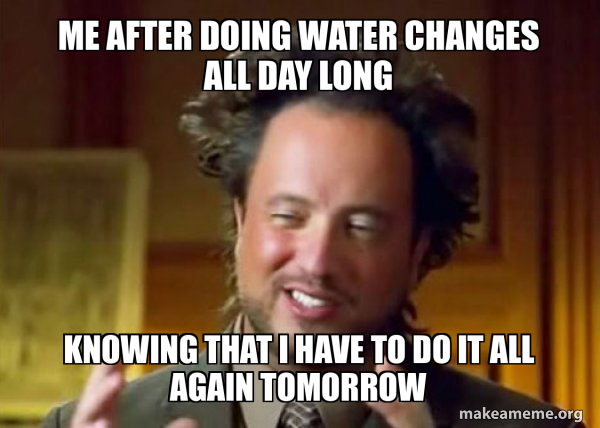 ME AFTER DOING WATER CHANGES ALL DAY LONG KNOWING THAT I HAVE TO DO IT ...