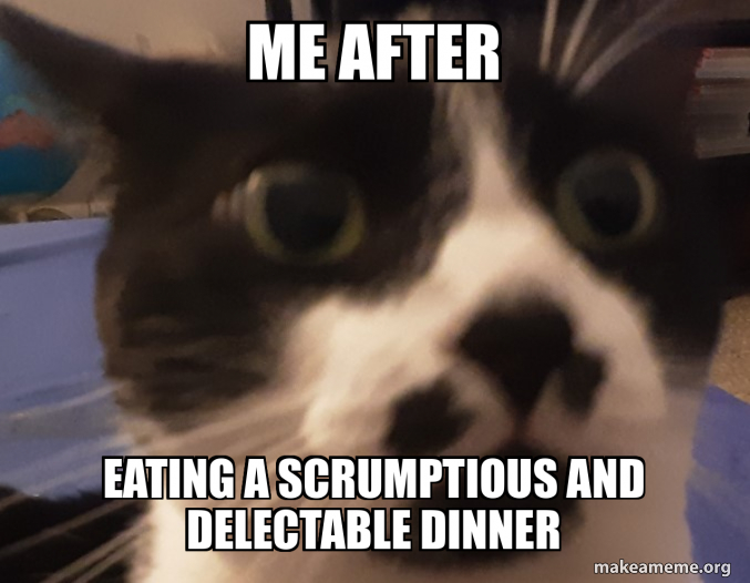 ME AFTER EATING A SCRUMPTIOUS AND DELECTABLE DINNER Meme Generator