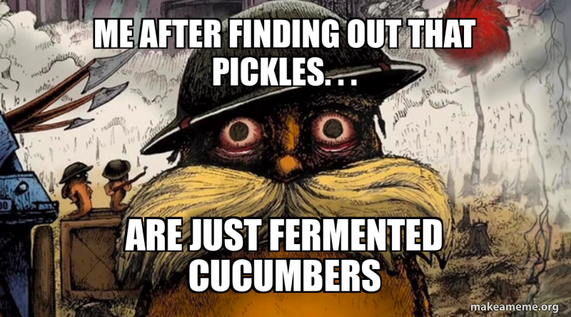 me after finding out that pickles. . . are just fermented cucumbers ...