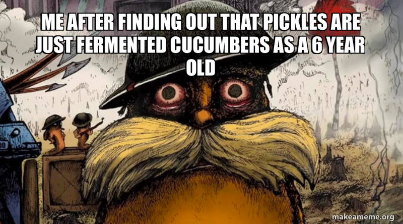 me after finding out that pickles are just fermented cucumbers as a 6 ...