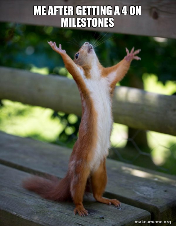 Me after getting a 4 on milestones - Happy Squirrel Meme Generator