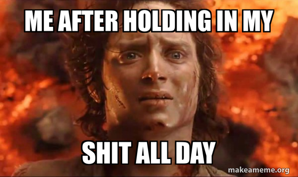 me after holding in my shit all day - Frodo it's over it's done Meme ...