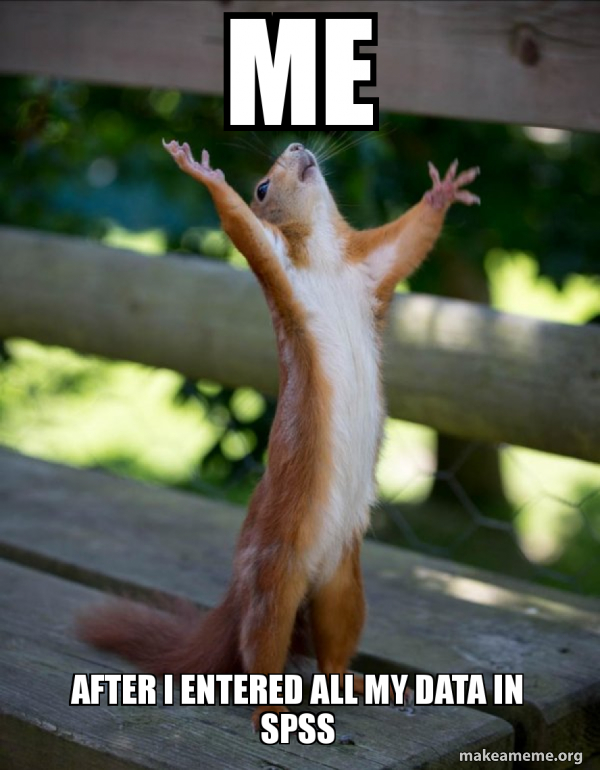 Me AFTER I ENTERED ALL MY DATA IN SPSS - Happy Squirrel Meme Generator