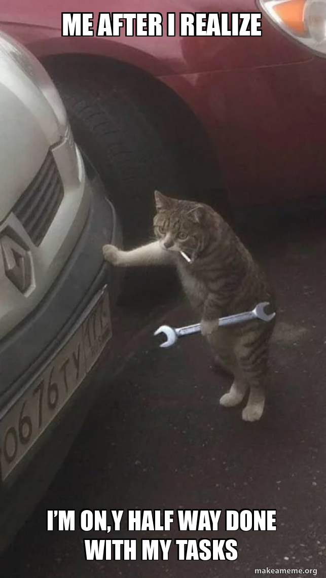 Me after I realize I’m on,y half way done with my tasks - Mechanic Cat ...