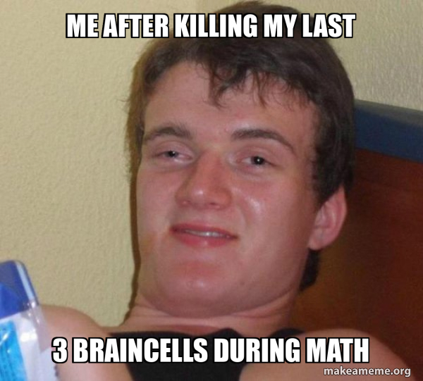 ME AFTER KILLING MY LAST 3 BRAINCELLS DURING MATH - [10] guy Meme Generator