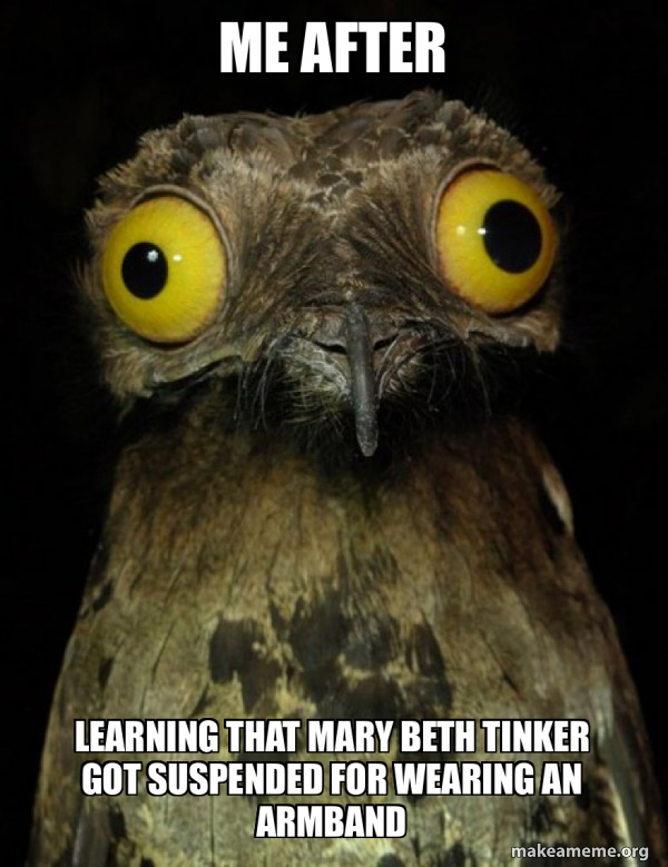 Me after learning that mary beth tinker got suspended for wearing an ...