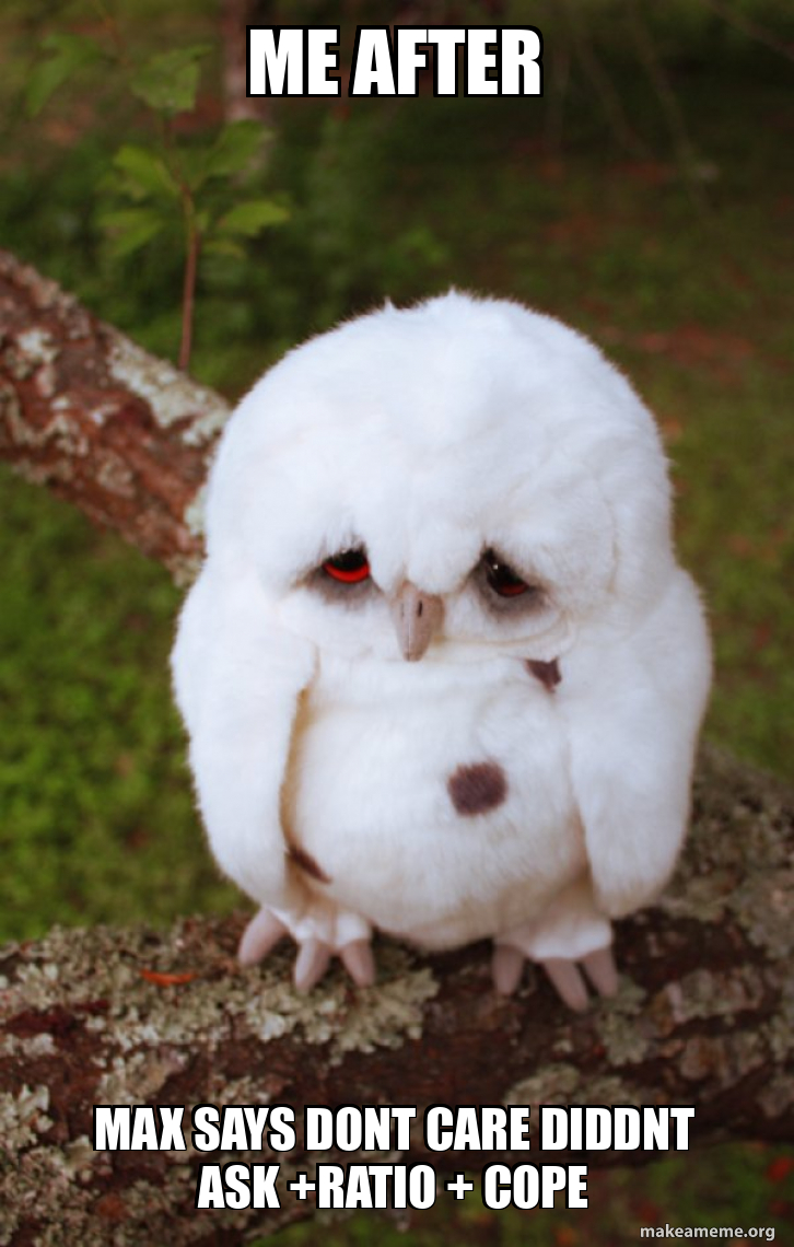 Me After Max says Dont care diddnt ask +Ratio + cope - Sad Owl Meme ...