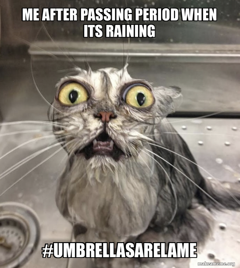 Me after passing period when its raining #umbrellasarelame Meme Generator