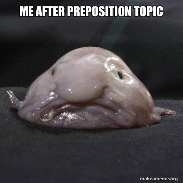 Me after preposition topic - Blobfish Meme Generator