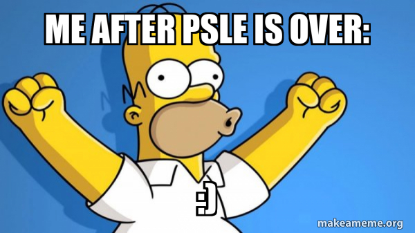Me after PSLE is over: :) - Happy Homer Meme Generator