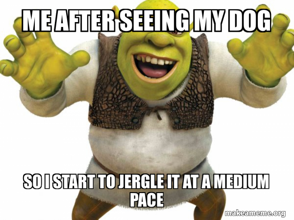 Me after seeing my dog So I start to jergle it at a medium pace - Shrek ...
