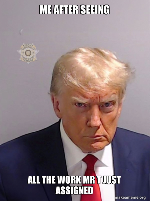 Me after seeing all the work mr t just assigned - Donald Trump Mugshot ...