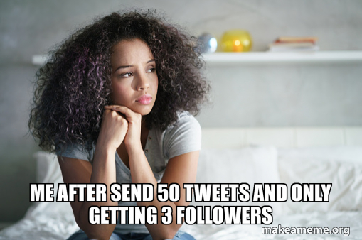 me after send 50 tweets and only getting 3 followers Meme Generator