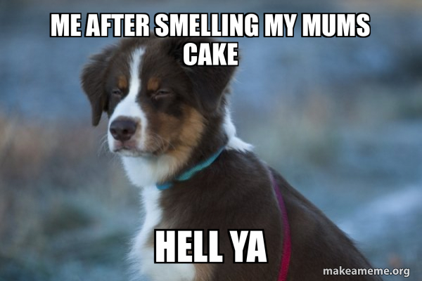 ME AFTER SMELLING MY MUMS CAKE HELL YA - Unsure Dog Meme Generator