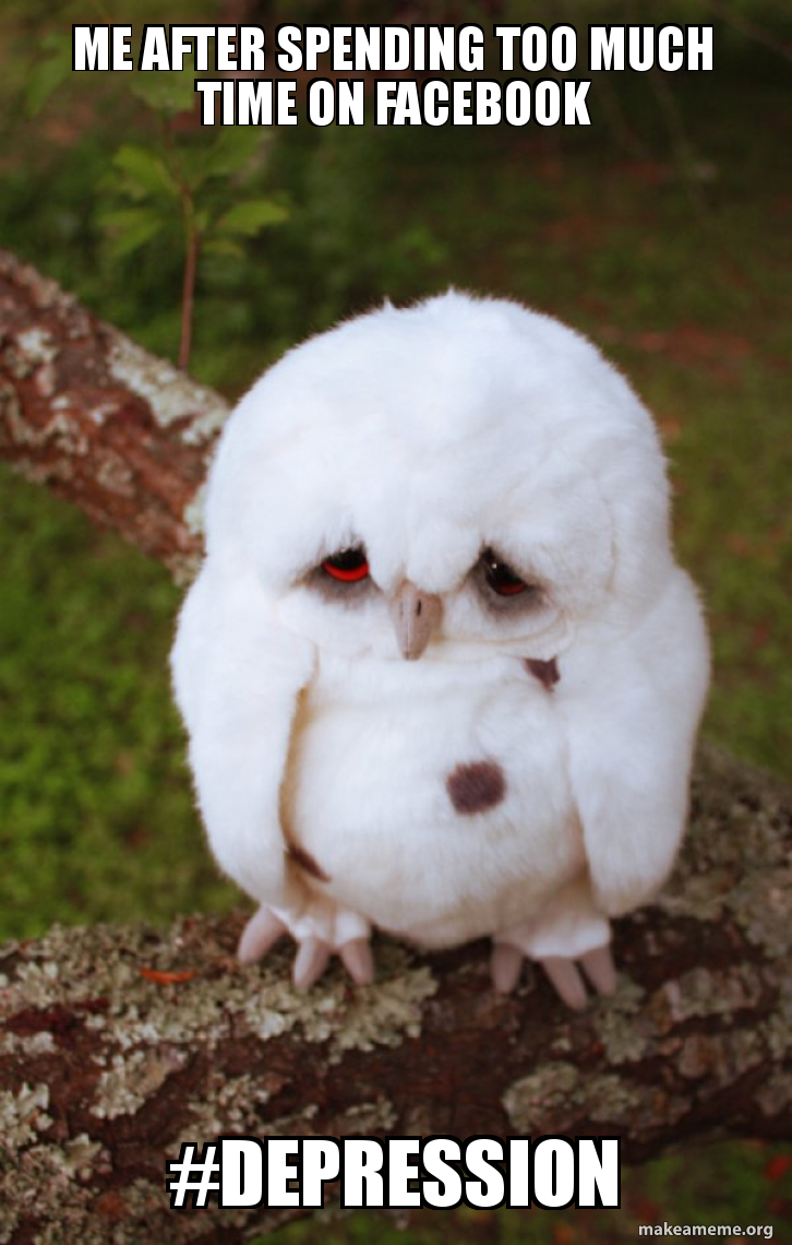 Me after spending too much time on Facebook #Depression - Sad Owl Meme ...