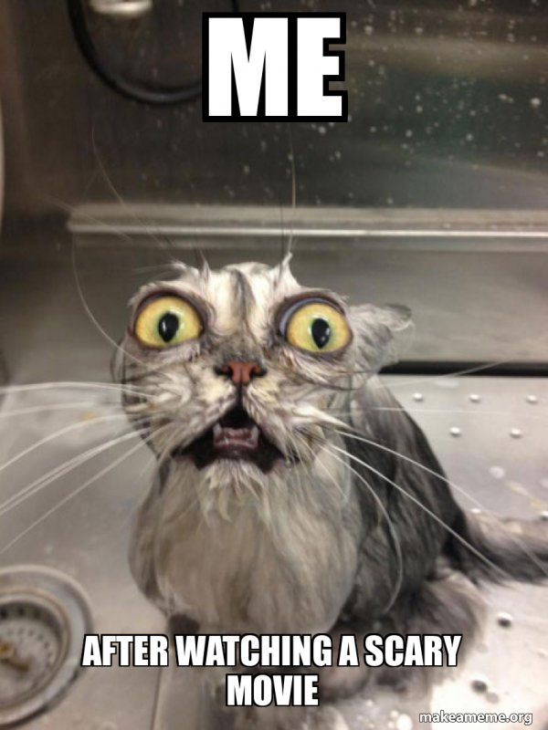 Me After watching a scary movie - Cat bath Meme Generator