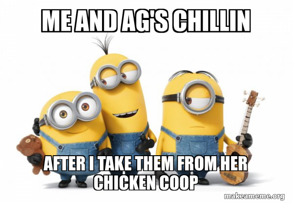 Me and Ag's chillin after I take them from her chicken coop - Minions ...