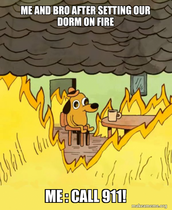 me and bro after setting our dorm on fire me : CALL 911! - This Is Fine ...