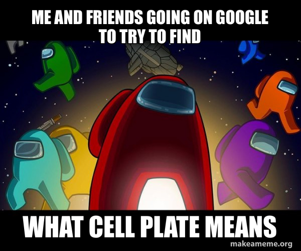 Me and friends going on Google to try to find what cell plate means ...