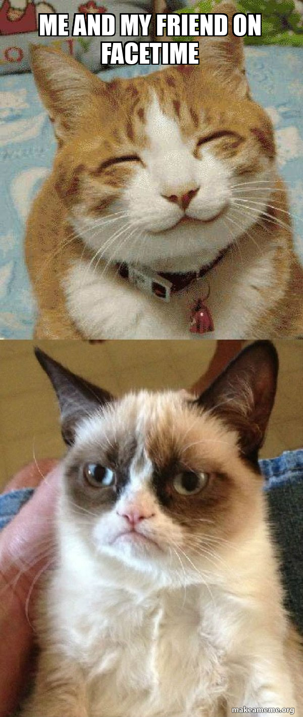 Me and my friend on FaceTime - Grumpy Cat vs Happy Cat Meme Generator