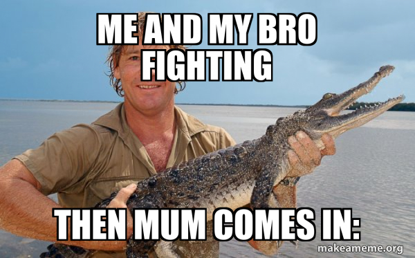 Me and my bro fighting Then mum comes in: - Steve irwin Meme Generator