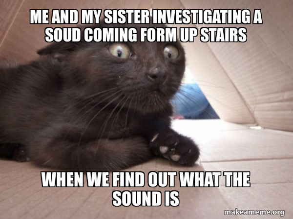 Me and my sister investigating a soud coming form up stairs When we ...