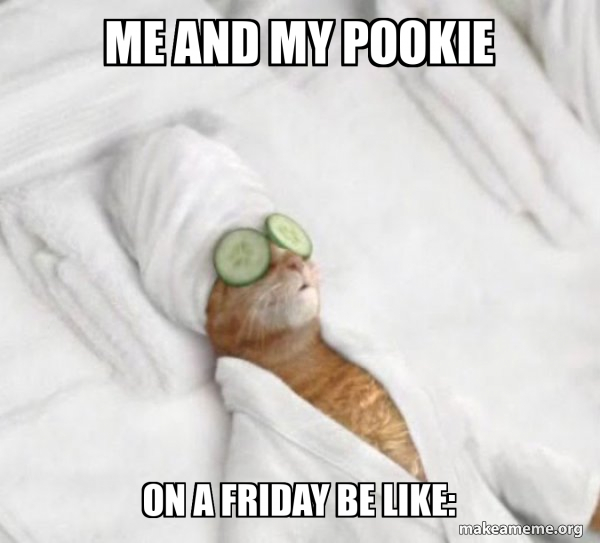 Me and my pookie on a Friday be like: - Pampered Cat Meme Meme Generator