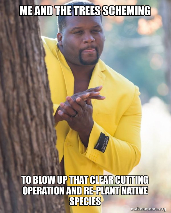 me and the trees scheming to blow up that clear cutting operation and ...