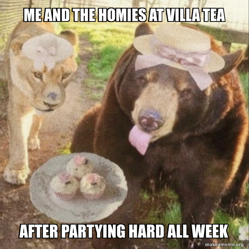 me and the homies at villa tea after partying hard all week Meme Generator