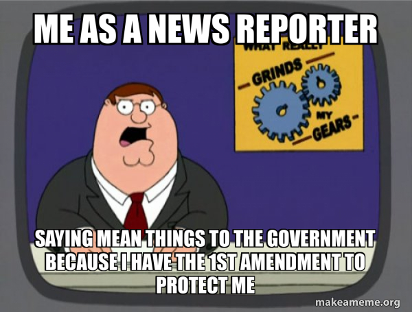 Me as a news reporter Saying mean things to the government because I ...