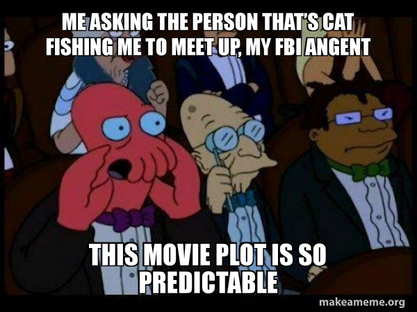 Me asking the person thatâ€™s cat fishing me to meet up, my fbi angent ...