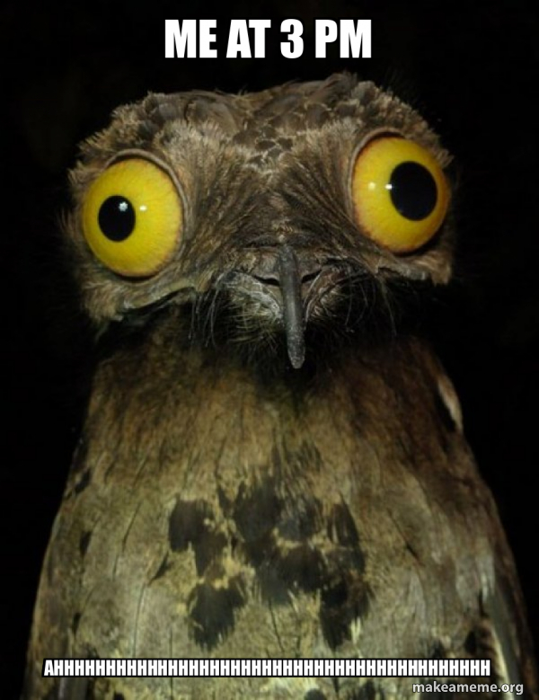 ME AT 3 PM AHHHHHHHHHHHHHHHHHHHHHHHHHHHHHHHHHHHHHHHHHH - Weird Stuff I ...