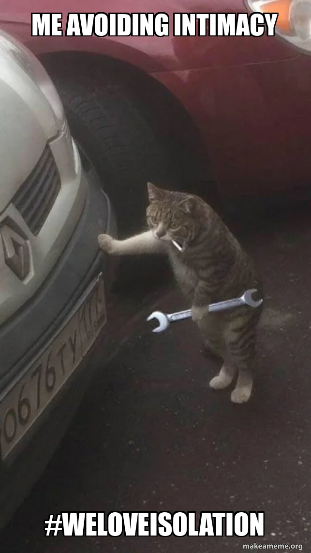 Me avoiding intimacy #weloveisolation - Mechanic Cat Meme Generator