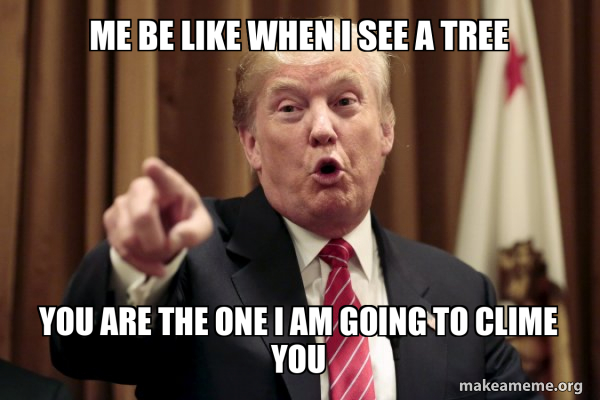 me be like when i see a tree you are the one i am going to clime you ...
